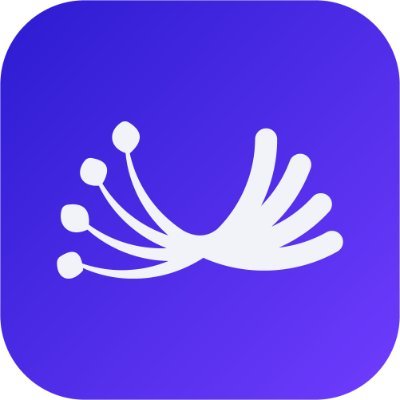 Modular Capital Airdrops - AirdropBee